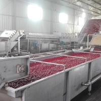 China Fruit Juice Processing And Packaging Line Production Capacity Customized for sale