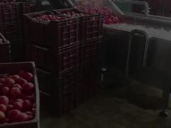 Tomato Sauce And Paste Making Production Line Brix Of Finished Products Capacity Customized