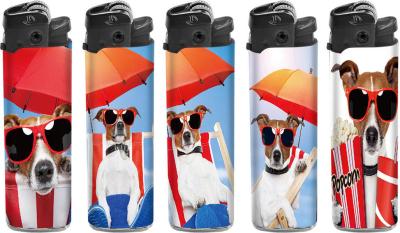 Cina Funzione della sigaretta Lighter slim flint monouso ricaricabile in plastica con stile decorativo in vendita