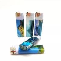 China Custom Plastic Electronic Disposable Refillable Lighter 82.2mm DY-588 for sale