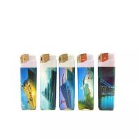China Custom Plastic Electronic Disposable Refillable Lighter 82.2mm DY-588 for sale