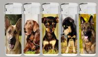 China Plastic Refillable Electronic Lighter 80x24.9x10mm with Custom Logo Wrapper Paper for sale