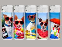 China Plastic Refillable Electronic Lighter 80x24.9x10mm with Custom Logo Wrapper Paper for sale