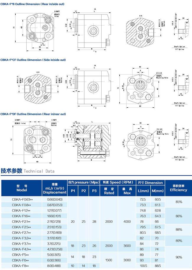 CBKA Gear Pump