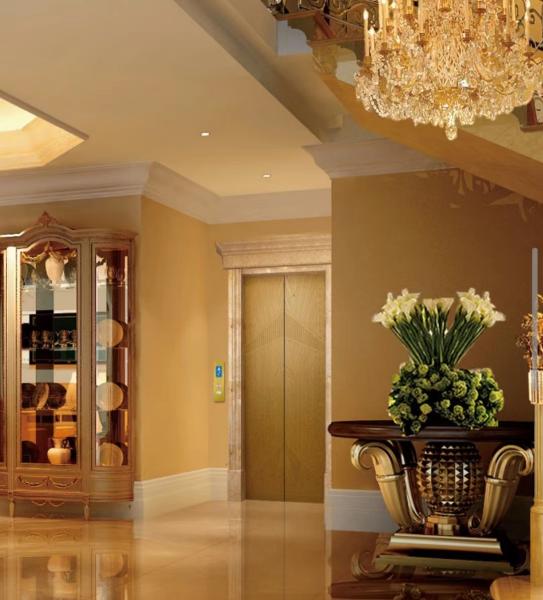 Quality 0.4m/S 1.0m/S Villa Elevator Home Elevator Car Decoration Lift Residential Elevators for sale