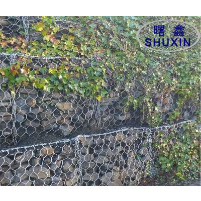 China Pvc Coated Galvanized Gabion Baskets Garden Iron Wire Mesh 2*1*1m for sale