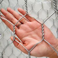 China Galvanized Iron Wire Mesh  Basket Gabion Box Retaining Wall for sale