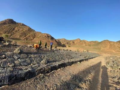 中国 3.7mm ガルバン化ガビオンバスケット 標準サイズ 8*10cm メッシュ 販売のため