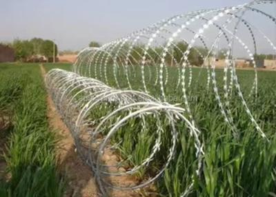 China Straight Line Razor Barbed Wire In Concertina Single Coils Or Crossed for sale