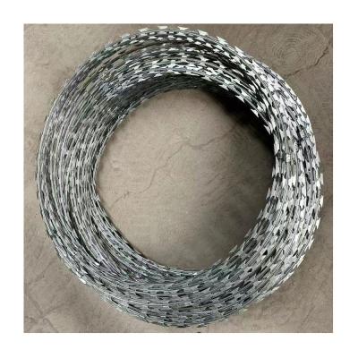 China Factory CBT-65 Razor Coil Wire Hot Galvanized Low Price PVC Coated Fence Roll for sale