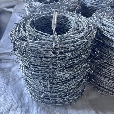 China galvanized barbed wire galvanized barbed wire price 250m per roll dutch net metal guardrail enclosure barbed wire tbar stretch tool for barb wire Ce Certificate for sale