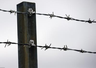 Use Of Prison Walls Anti Climb Galvanized Barbed Wire Roll