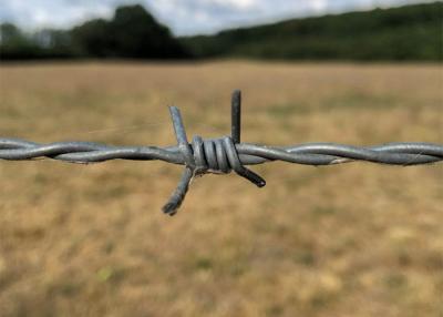 Des bobines de fil barbelé galvanisé à chaud enduit à la chaleur
