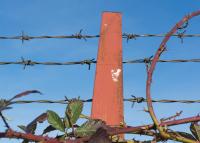 China Hot-dipped Galvanized Security Barbed Wire High-Diameter Wire for Secure Boundaries for sale