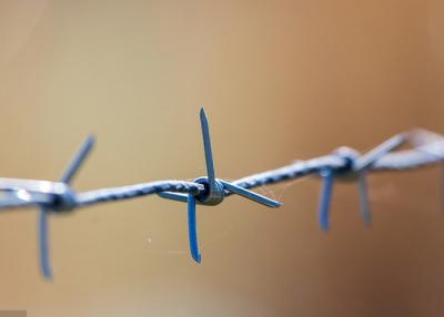 Garden Anti-Theft 50kg Double Strand Traditional Twist Barbed Wire Roll