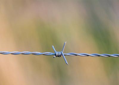 Protección de la explotación agrícola de alambre de púas galvanizado de hebra única, sumergido en caliente