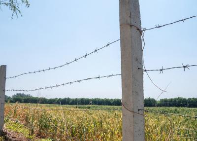 Double Strand Reverse Twist PVC Coated Iron Security Barbed Wire For Enhanced Security
