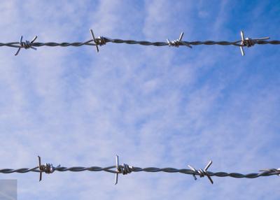 China Rust resistance Double strand reverse twist Hot Dipped Galvanized Barbed Wire Roll for sale