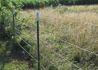 China Rust Resistance PVC Coated /Galvanized Barbed Wire Coils Fence for sale