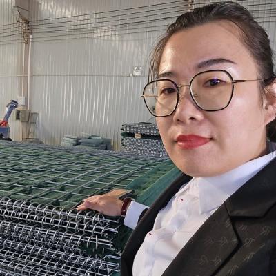 中国 亜鉛メッキ軍事用バリヤー壁 275g 3m高 販売のため