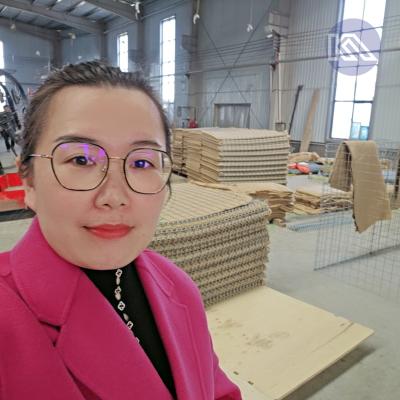 中国 鋼鉄鉄線 ヘスコバリア MIL-8 1.37m x 1.22m x 10m 販売のため