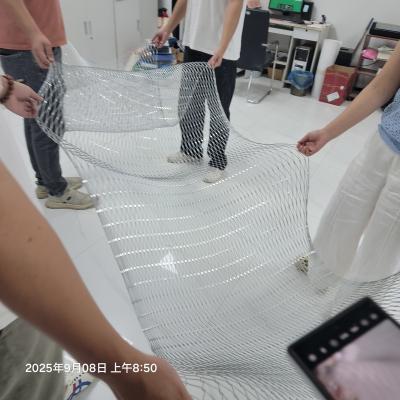 Chine Construction de protection de jardin KN 304 316 316L Filet de treillis métallique en acier inoxydable haute résistance pour volière, zoo à vendre