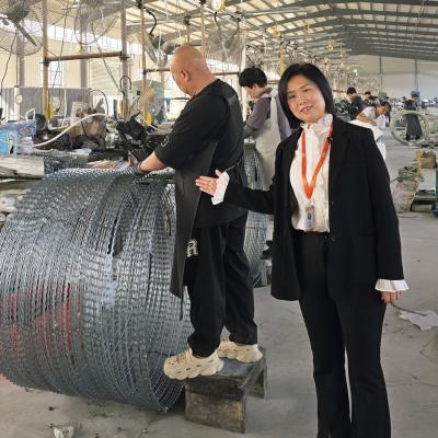 China Ukraine Hot Dipped Galvanized BTO-16 Barbed Blade Razor Wire Security Fencing for sale