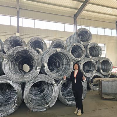 China High Density Flat Type Single Razor Concertina Razor Wire for Secure Fencing for sale