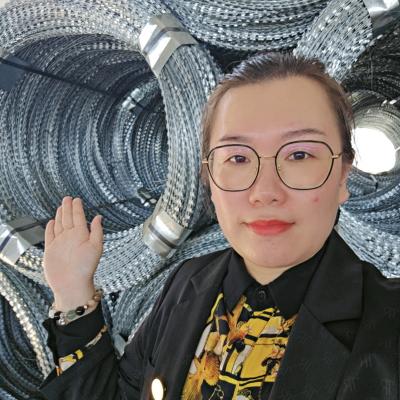 China Fortify With Egoza  Concertina Barbed Wire Fence For Maximum Security for sale