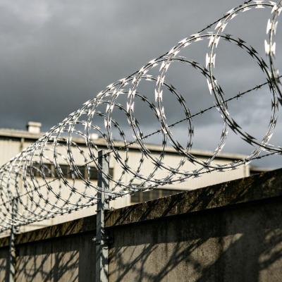 China Stainless Steel Barbed Wire Mesh Snake Belly Mesh Galvanized Razor Roll Secure Garden Security Barrier for sale