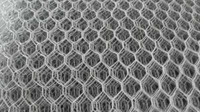 Grillage hexagonal de digue de protection de panier résistant de Gabion prenant Gabion au filet
