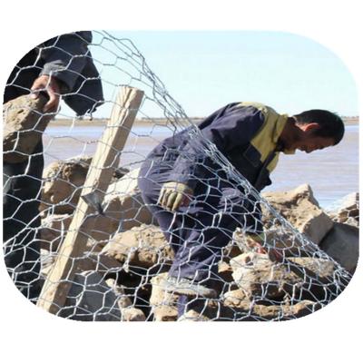 China Stone Cages Hexagonal Pvc Coated Gabion Box  2x1x0.5 for sale