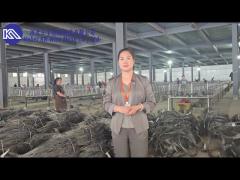 Anti-tank barrier mesh workshop introduction and display