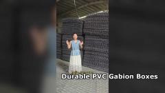 Galvanized Iron Wire Mesh PVC Coated Gabion Box