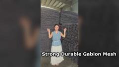 Galvanized+PVC Coated Hexagonal Iron Woven Wire Mesh for Gabion Basket Retaining
