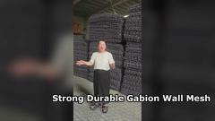 Galvanized Iron Wire Hexagonal PVC Coated Gabion Wall Retaining Wall Mesh 80x100mm