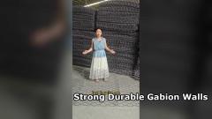 Hot-Dip Galvanized Iron Wire Gabion Basket/Cage/Wall 2x1x1m 80x100mm