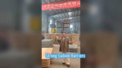 Hot Dipped Galvanized Bastion Gabion Walls Welded Mesh/Bastion Barrier Explosion- Proof Cage