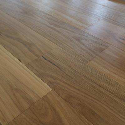 China Austrlian Tallowwood Engineered Wood Flooring with Width 136mm Length 1900mm for sale