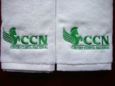 le logo 100% fait sur commande de petit MOQ coton des plus bas prix a brodé la serviette de sports de gymnase