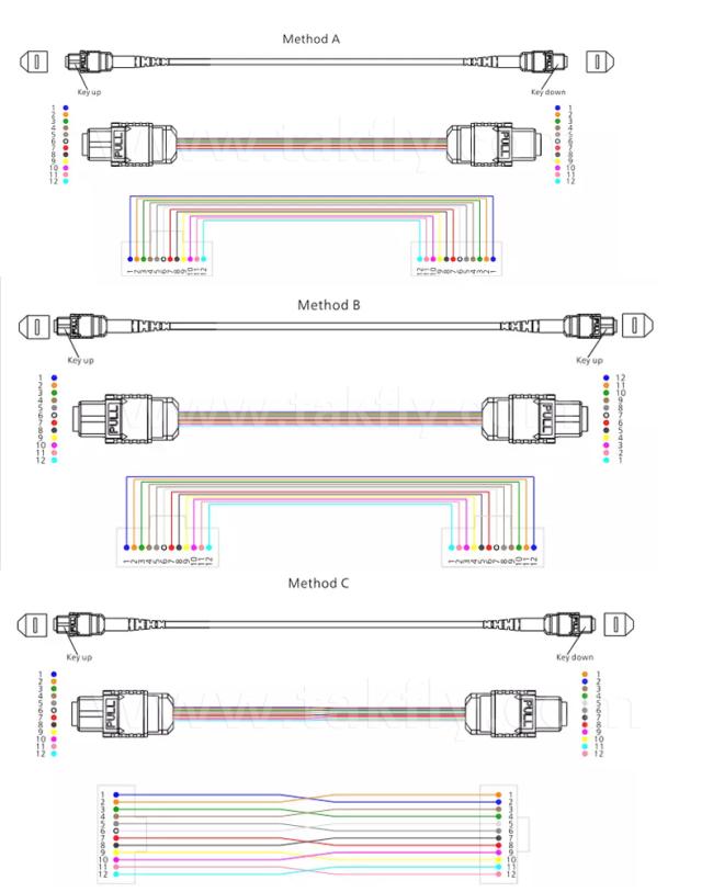 100G MPO MTP Male MM Low Insertion Loss 3.0mm Trunk 12C Fiber Optic Patchcord 0