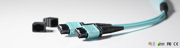 Standard Mpo Patch Cable Mtp Breakout Cable Low Loss For Data Center