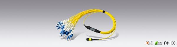 Standard Mpo Patch Cable Mtp Breakout Cable Low Loss For Data Center