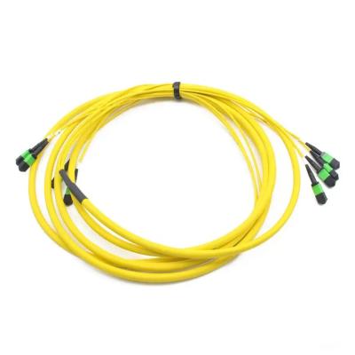 China Data Center MPO/MTP Trunk Cable Patch Cord 48 core Single Mode Polarity B for sale
