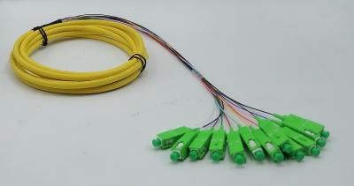 China 1.5M SC/APC 12 fiber optic fanout pigtails OS2 Single Mode G657A2 Bend Insensitive Riser (OFNR) 0.9mm Yellow for sale