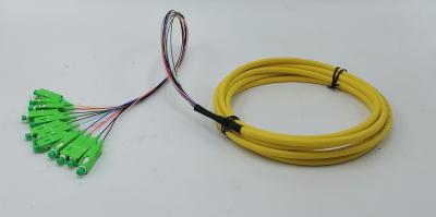 China 1.5M SC/APC 12 fiber optic fanout pigtails OS2 Single Mode G657A2 Bend Insensitive Riser (OFNR) 0.9mm Yellow for sale