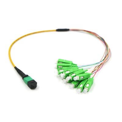 China Elite MTP/MPO To SC/Apc OM5 LSZH Single Mode Patch Cord for sale