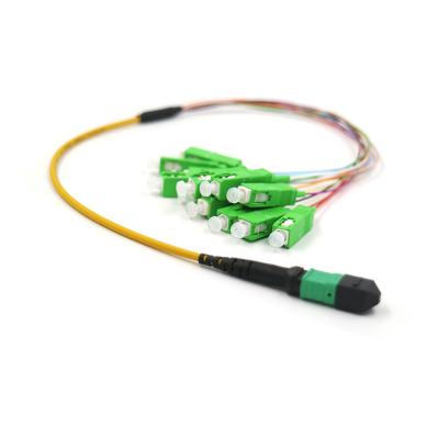China Elite MTP/MPO To SC/Apc OM5 LSZH Single Mode Patch Cord for sale