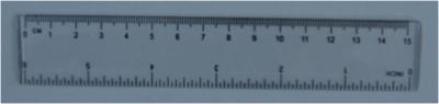 China 15cm Hot Sell Clear Scale office plastic Transparent Ruler in Stock for sale