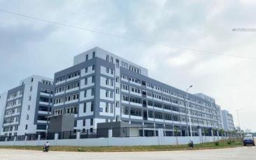 Fornitore cinese verificato - Taian Titan Machinery Technology Co., Ltd.